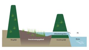 Sigma werking GOG (uitwatering) — Coördinatiecommissie Integraal ...